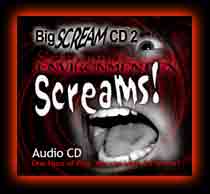Big Scream CD, Vol. 2 - LightsAlive
