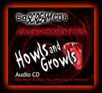Big Scream CD, Vol. 6 - LightsAlive